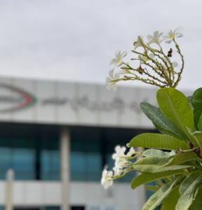 Kafco – Kuwait Aviation Fuelling Company